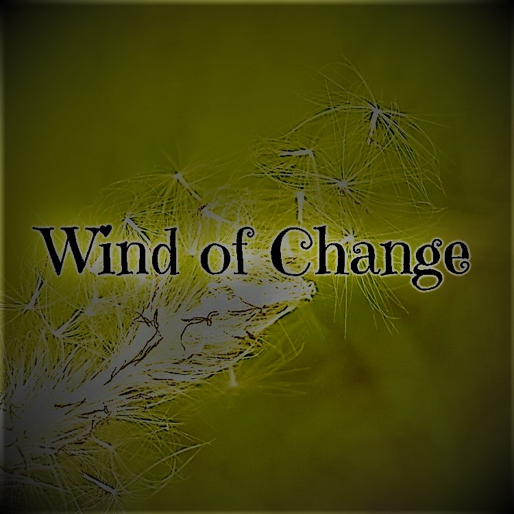 Winds of Change – Catzen's Musings on Life